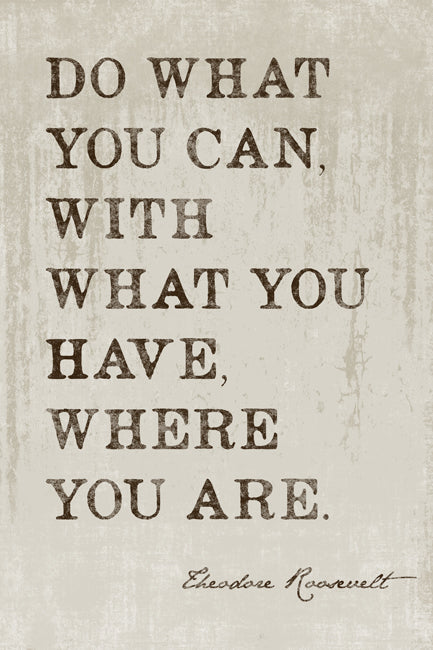 Do What You Can (Theodore Roosevelt Quote), motivational poster – Keep ...